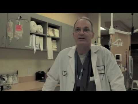 Dr. David Saylor
