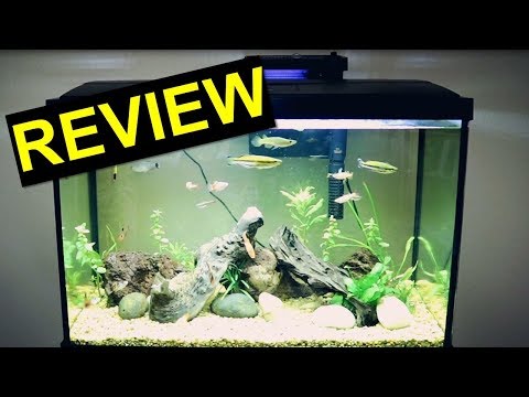 20 Gallon Top Fin Aquarium Kit Review | Tuesday Tank Reviews