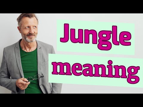 Jungle | Meaning of jungle