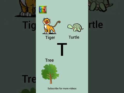 T for Tree, Turtle, Tub, Tiger | alphabet | A till Z for kids | capital letters #shorts #kids #abcd