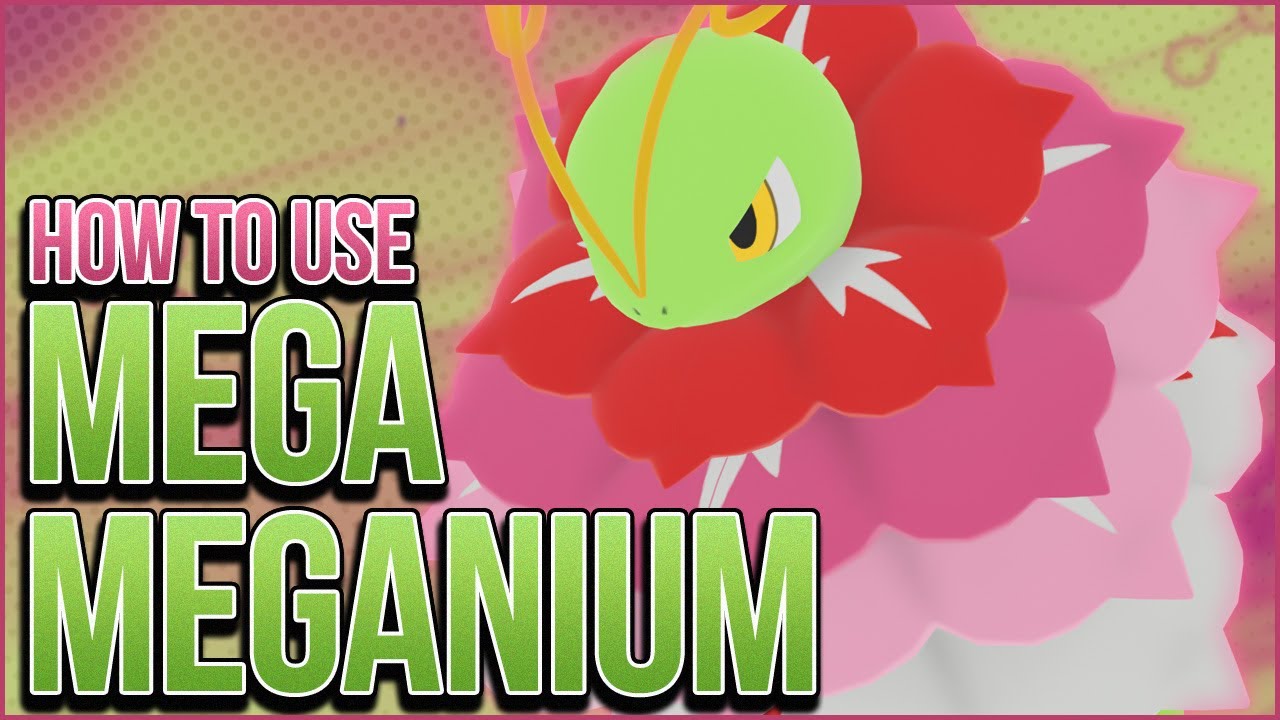 How Strong Is Mega Meganium ACTUALLY?!