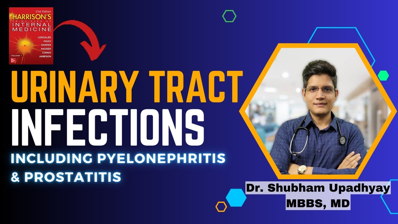 Understanding Urinary Tract Infections: Etiopathogenesis, Diagnosis ...