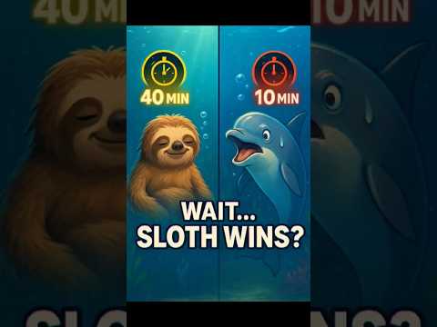 Why Sloths Are More Impressive Than You Think #shorts #13