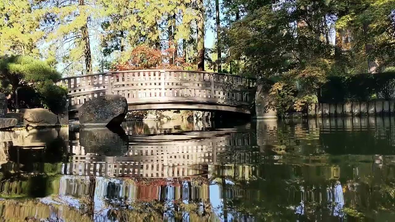 Manitou Park Japanese Garden Bridge Fall Ambience