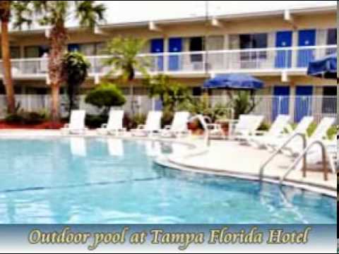 Tampa Airport Hotels, Downtown Tampa Hotel.