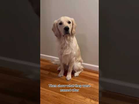 Named After #rigatoni #pasta #italian #dog
