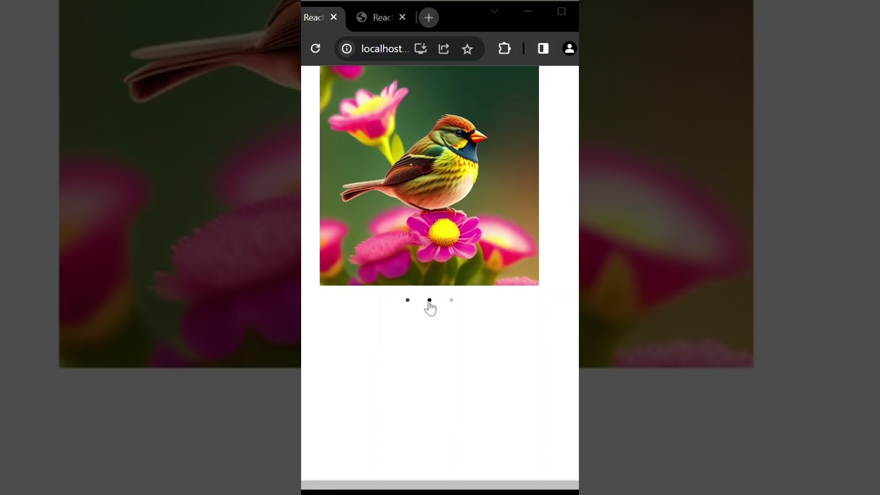 Amazing JS Libraries - Part 2 React Slick #coding #webdevelopment