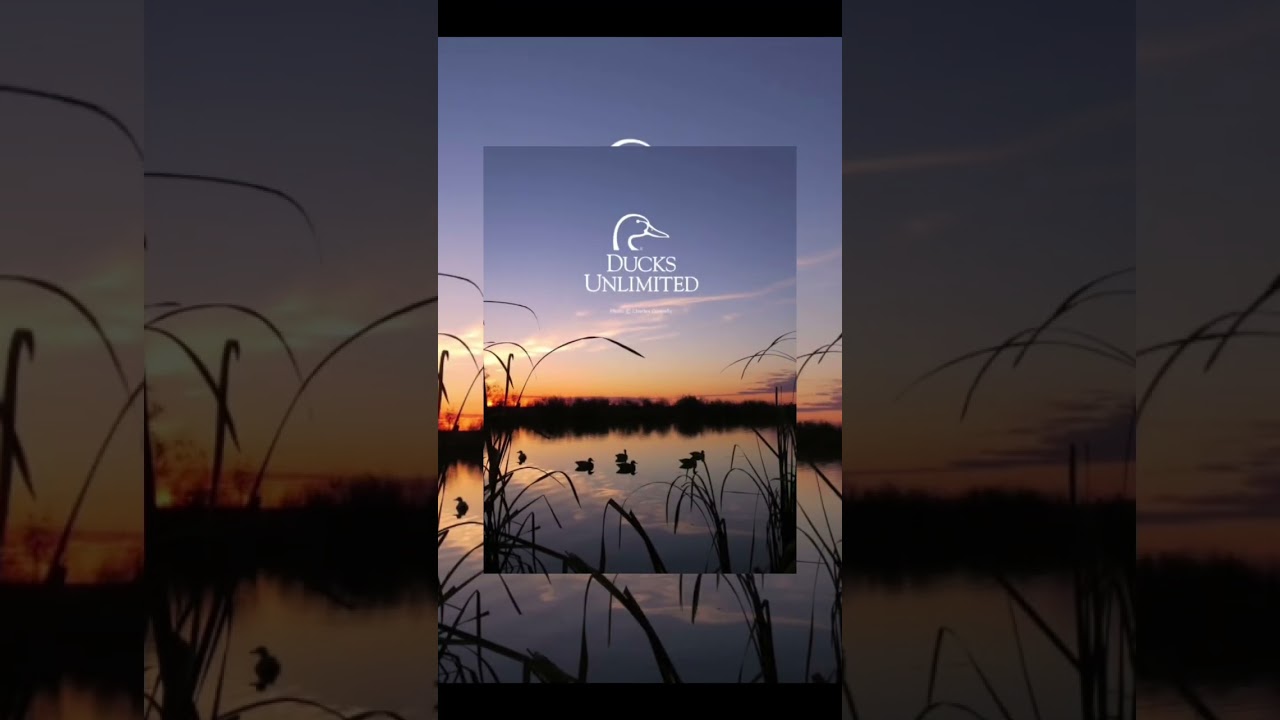 Try not to change your Wallpaper pt.1 hunting edition #hunting #viral