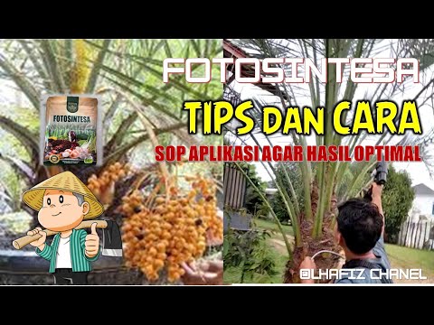 HINDARI APLIKASI PUPUK FOTOSINTESA PADA DAUN TANAMAN PADA WAKTU DIATAS JAM 9 PAGI SAMPAI JAM 4 SORE