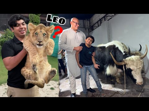 Leo Ko Dhond Liya ๐ YAK La Do Talli Rona Laga ๐