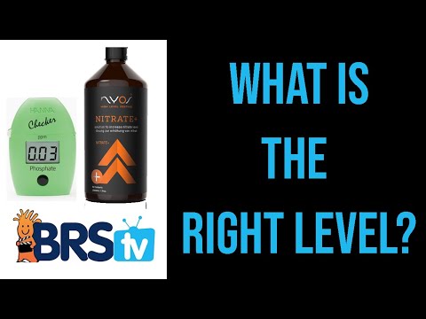 What Are Acceptable Nitrate and Phosphate Levels in Reef Tanks? | ep.3 BRStv Guide to Pollutive Food