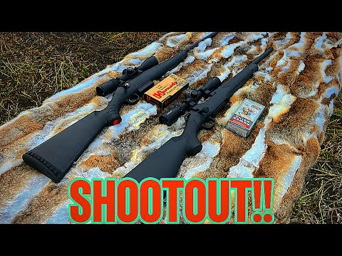 450 Bushmaster vs 400 Legend!! Which is best??