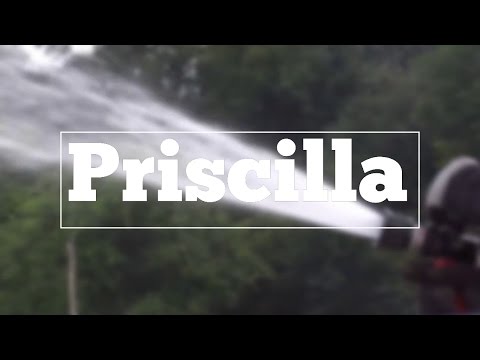How to spell Priscilla