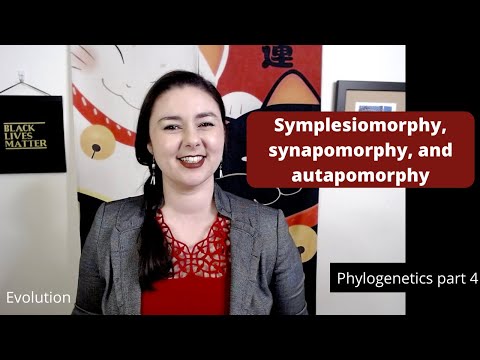 Symplesiomorphy, synapomorphy, and autapomorphy