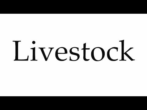 How to Pronounce Livestock