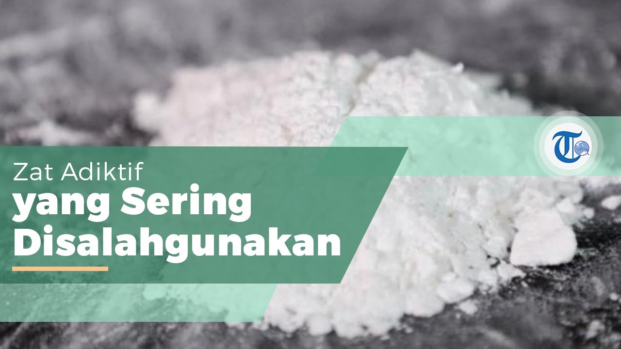 Kokain, Senyawa yang Terdapat di Daun Koka atau Tanaman Erythroxylon ...