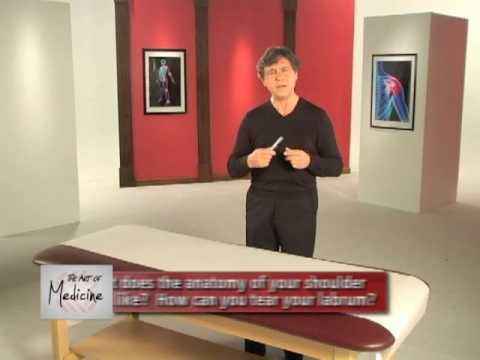 Labral Tears Part 1: Anatomy