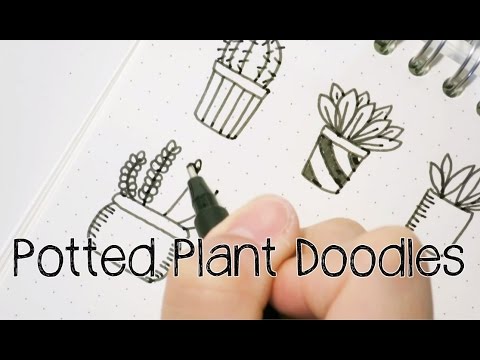 Potted Plant/Succulent Doodles | Doodle with Me