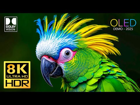 Awesome HDR 8K 120 FPS Video - Dolby Vision #8k #hdr
