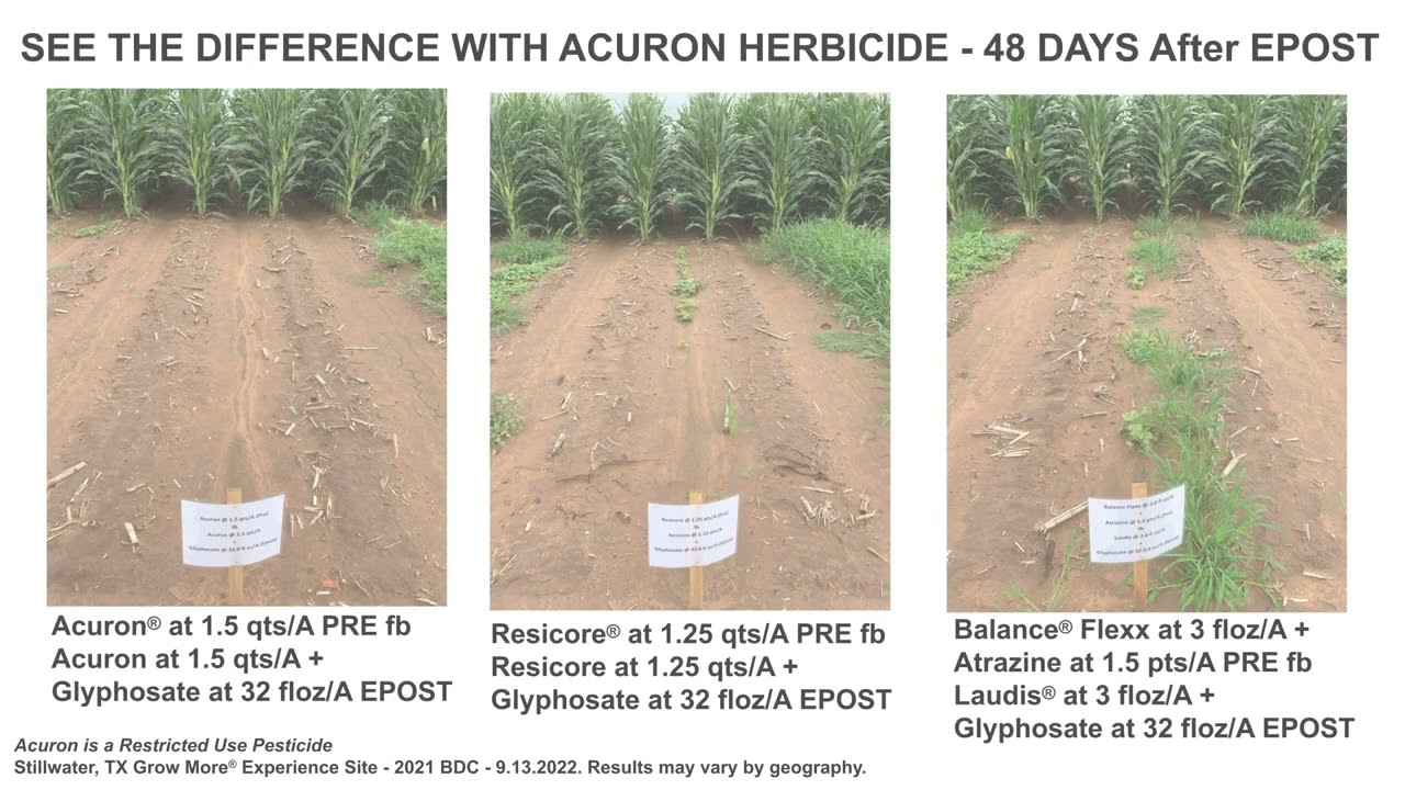 Control Weeds with a Planned Two-Pass Corn Herbicide Program