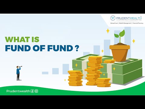What is Fund of Funds? (Hindi) | Prudent Wealth