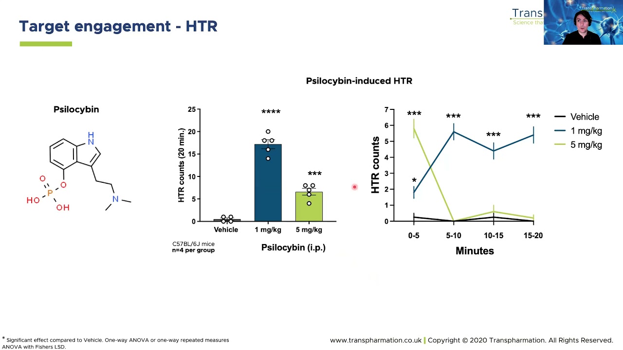 Presentation by Jack Prenderville at Neuroscience Ireland 2021
