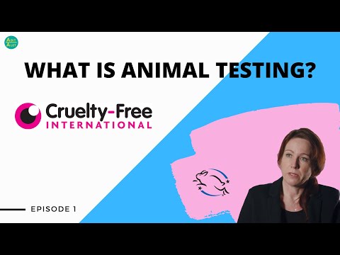 What is Animal Testing?