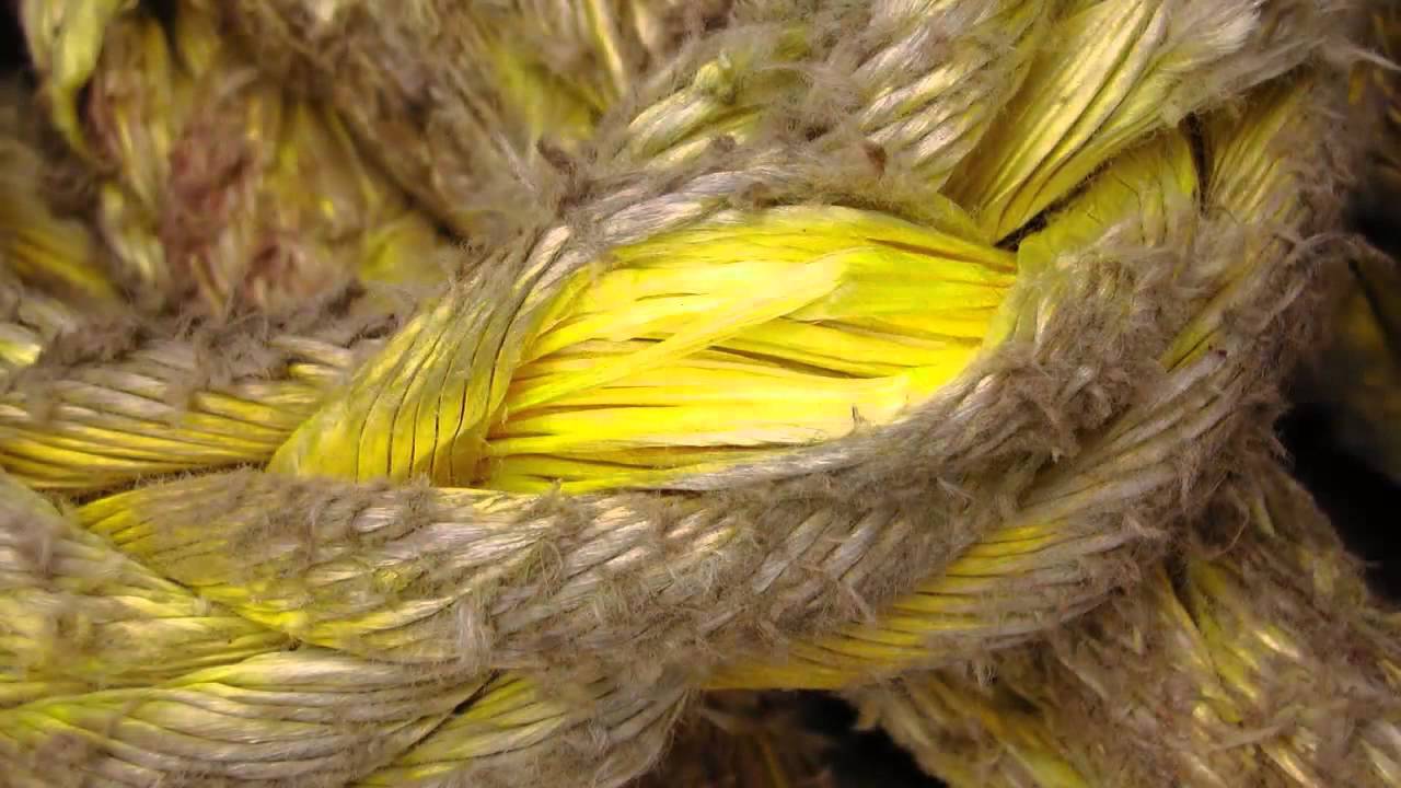 Samson Rop: Inspection and Retirement Guidelines