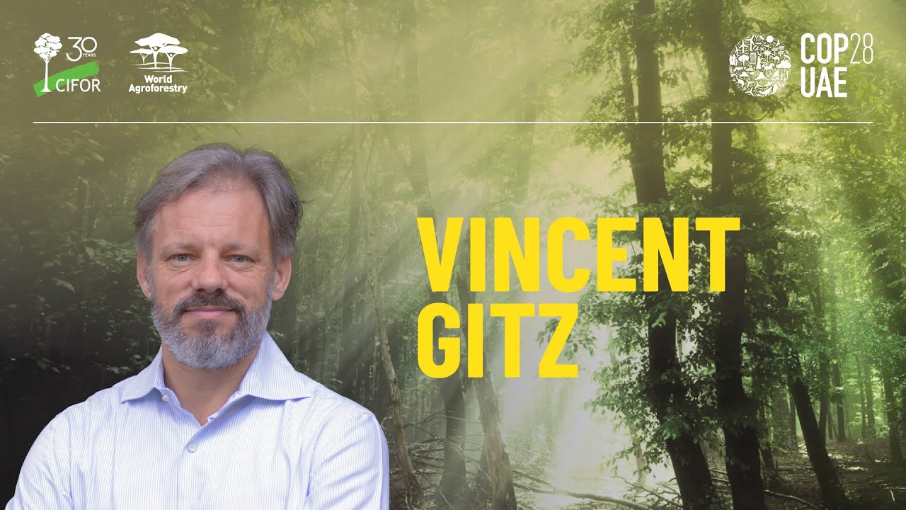 Vincent Gitz on how CIFOR-ICRAF supports forests in Latin America - #Trees4Resilience