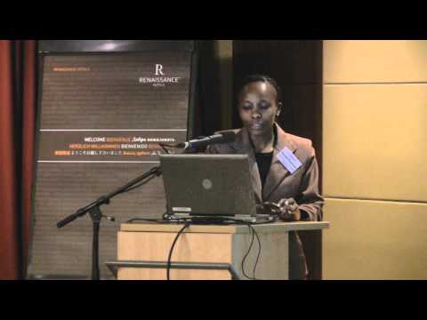 The Case of Botswana Power Corporation