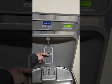 Bubbles the cat automatic water fountain ⛲️. Elkay