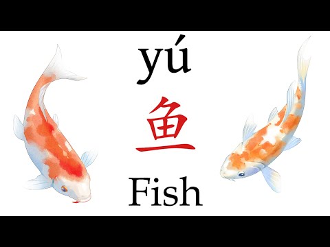 How To Say 'Fish' (鱼) in Mandarin Chinese