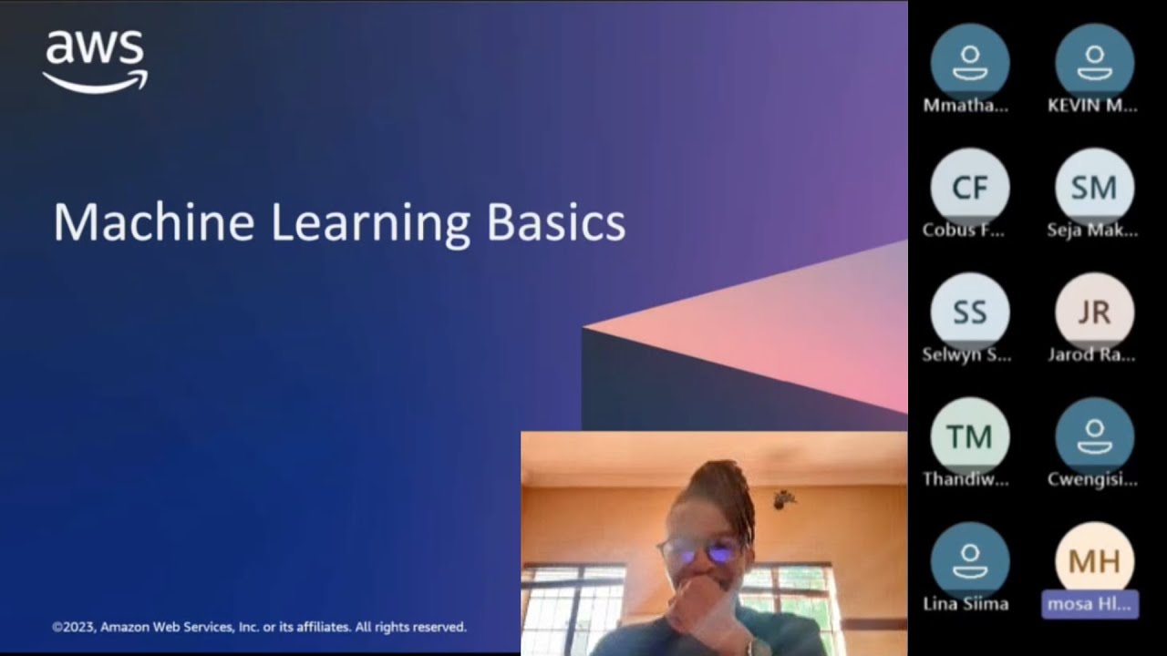 Machine Learning Basics (Webinar)