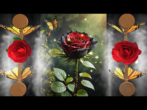 Desert Rose - Sting ft. Cheb Mami (Lyrics) -Translation Arabic + English #song #music #arabic