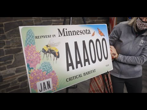New Critical Habitat Pollinator License Plate