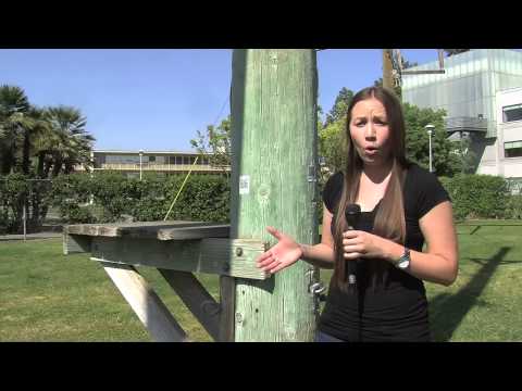 E.D.G.E Ropes Course