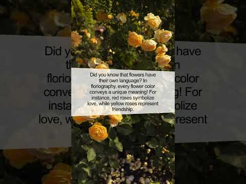 The Secret Language of Flowers: Color Meanings!