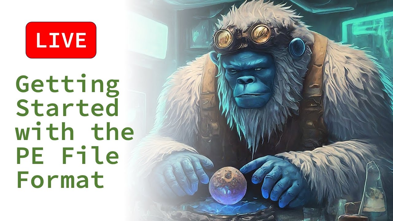 🔴 Getting Started with the Portable Executable File Format