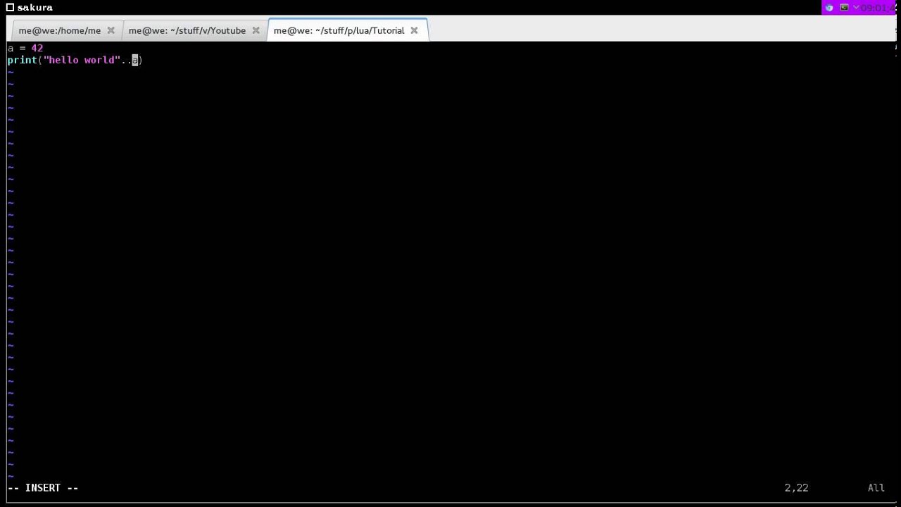 Lua Tutorial part 1 : Print and Variables