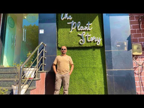 THE PLANT STORY JODHPUR || FINE DINING RESTAURANTS IN INDIA || PURE VEG RESTAURANTS IN JODHPUR