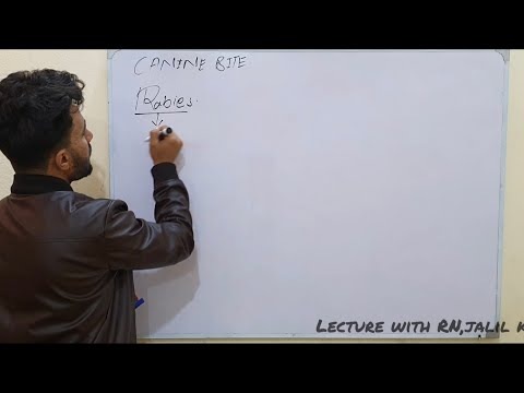 DOG bite, what should we do if a dog bites, treatment, vaccine. explained by RN,Jalilkhan.