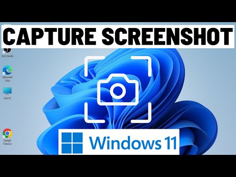 How to Take Screenshot in Windows 11