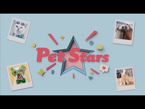 Pet Stars "Trailer"