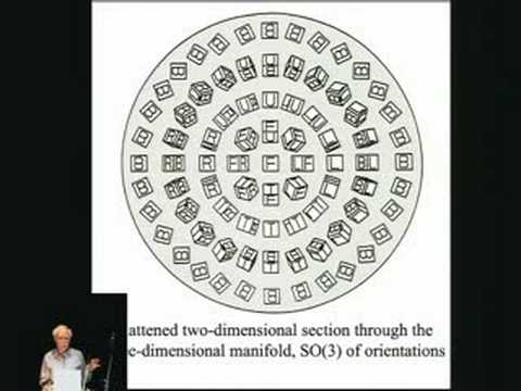 Principles of Cognition as Adaptations to the World
