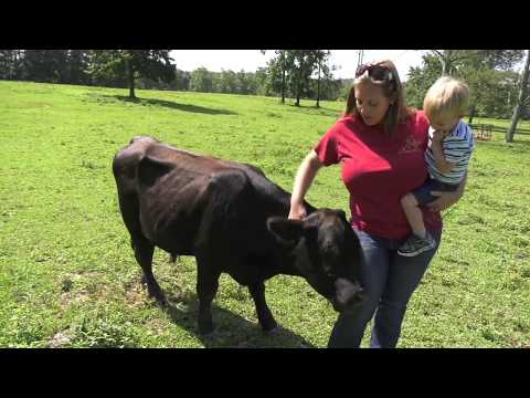 King Farms Provides a One Stop Shop for Consumers