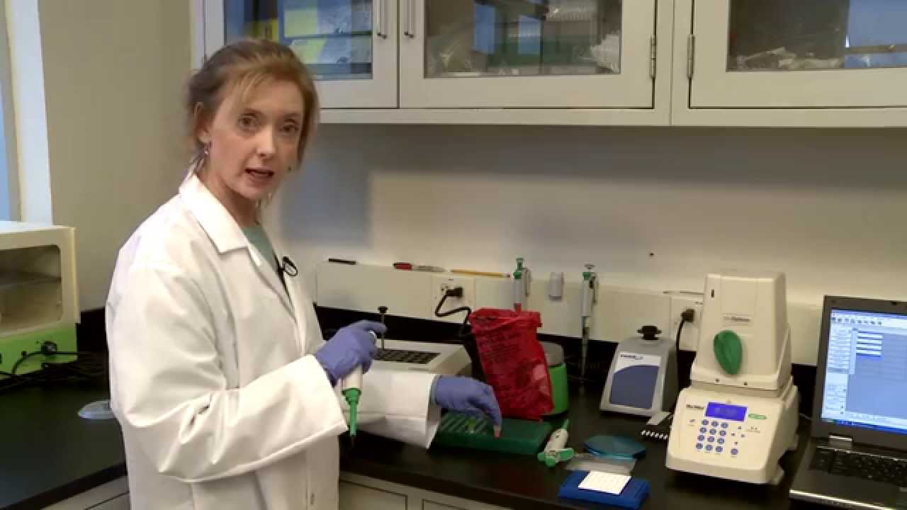 iQ-Check Standard Extraction Protocol Training