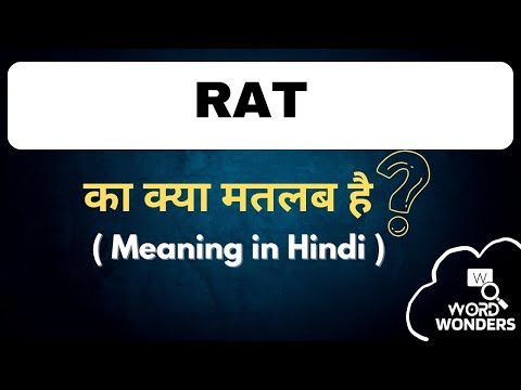 Rat Meaning in Hindi | Rat ka Hindi me Matlab | Word Meaning I Word Wonders