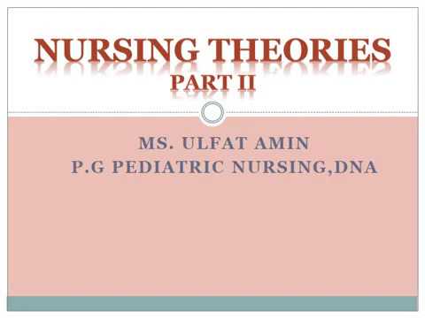 nursing theory II