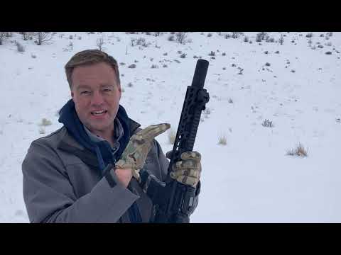 Liberty Fox Defense | How to configure an MCX to work like a bolt ...