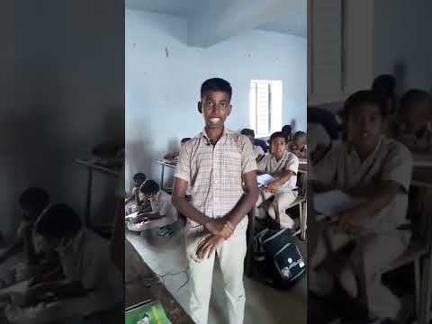 Government school | student | in Tamil meaning | of English translation | well good ✅ #school#